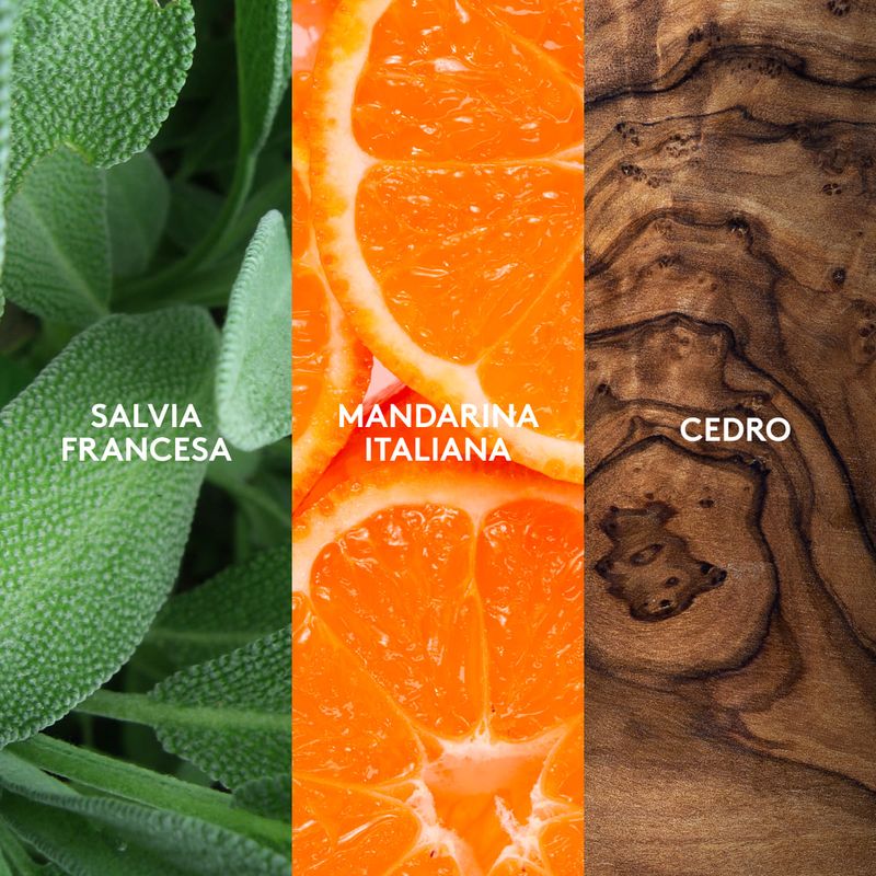 Set Perfume de Hombre Alpha + Kalos Sport - ésika Chile